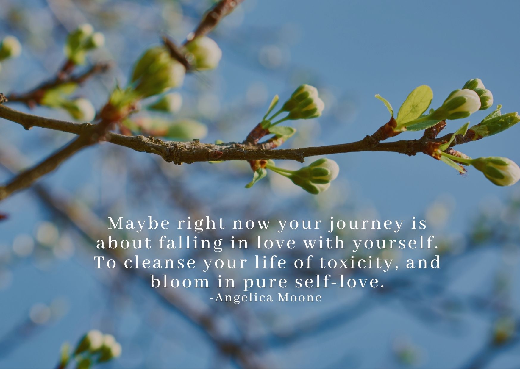 Bloom in Pure Self-love – ekaLagi